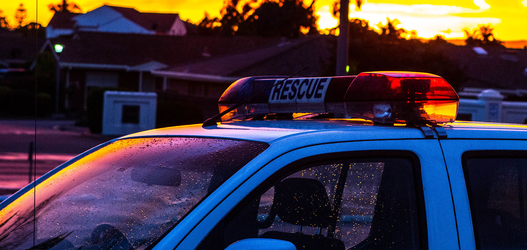 Welcome to SASES Online Learning Hub